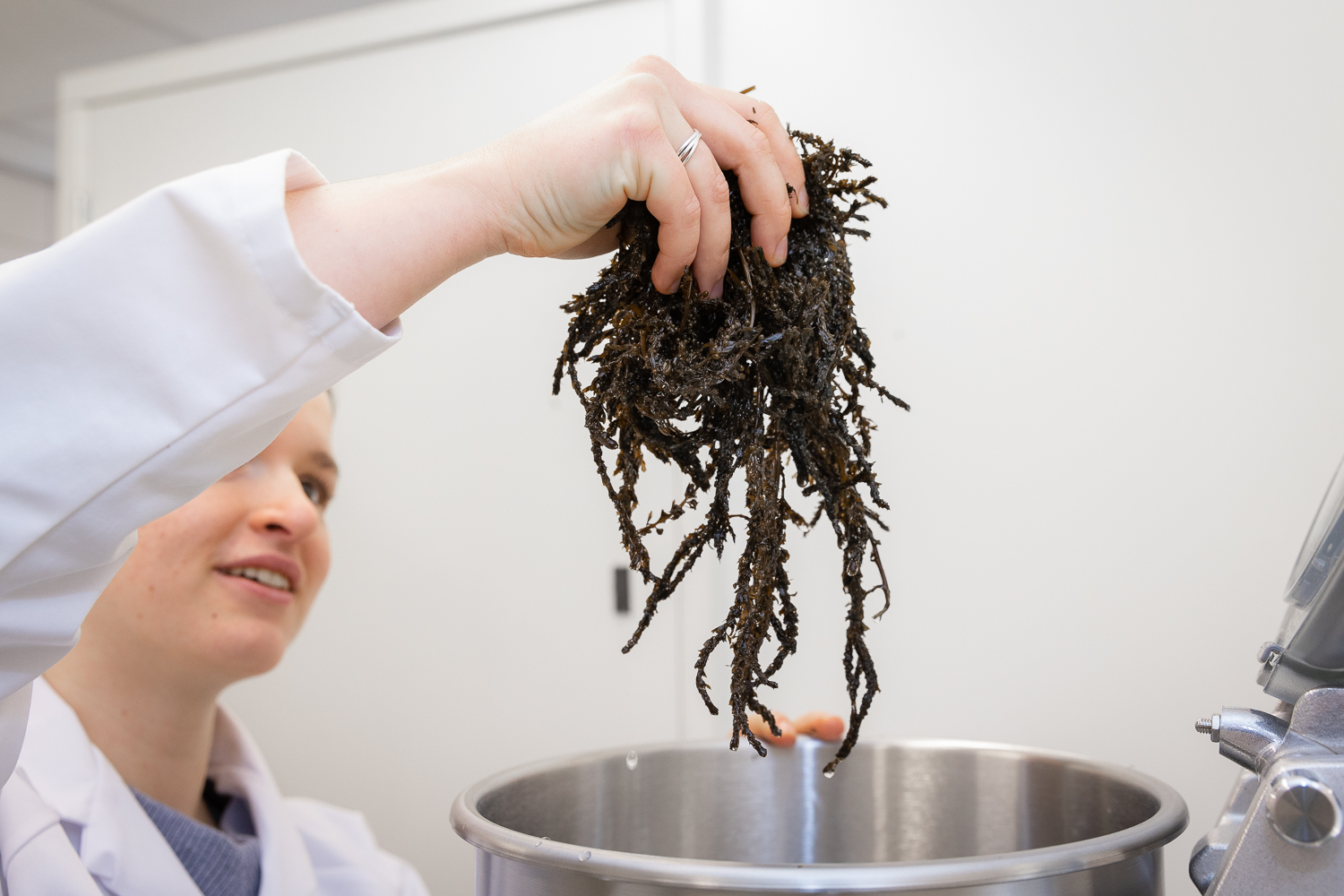 De wonderlijke wereld van zeewier, gewoon in ROOTS - World Food Center